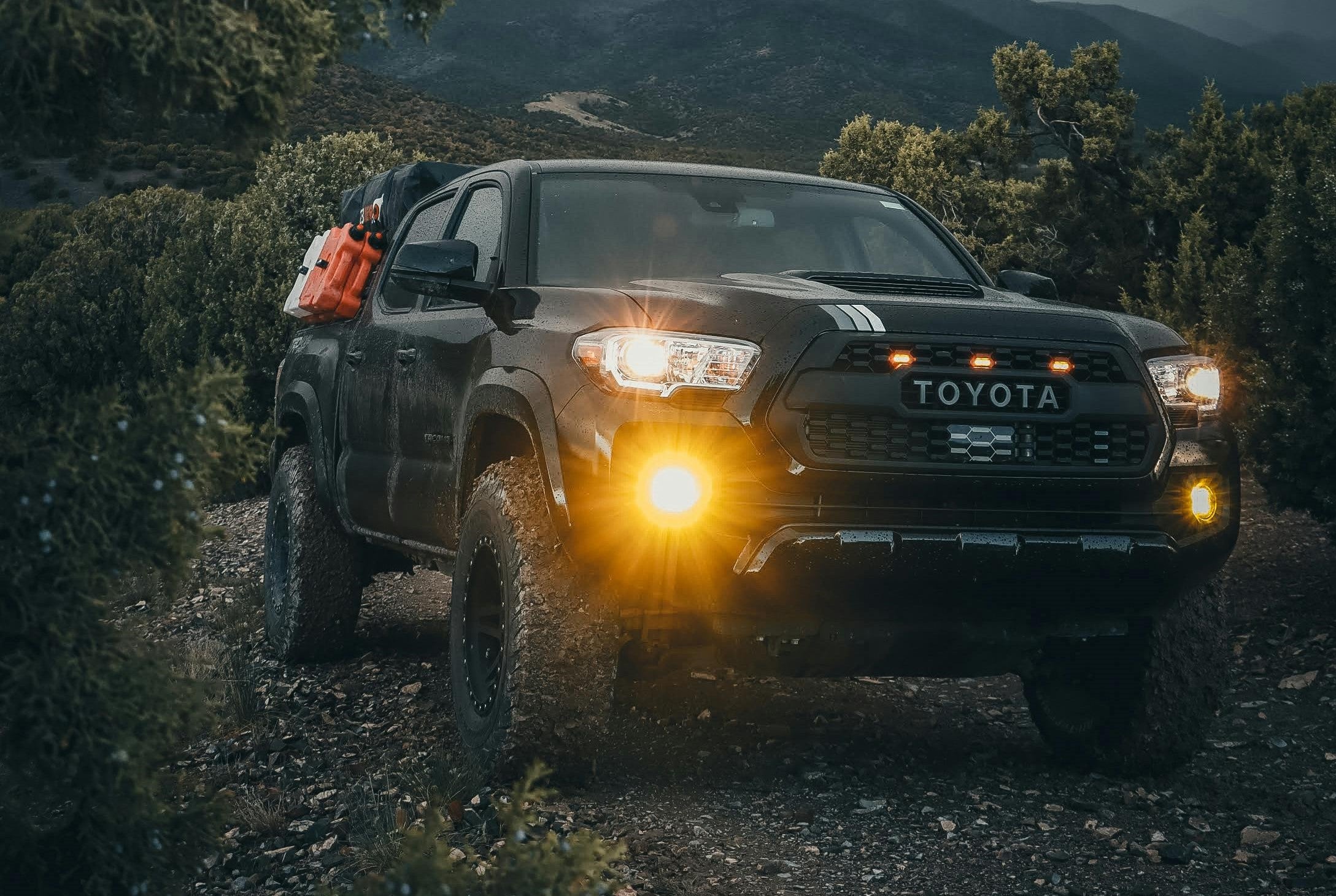 Bushing Brawl: Rubber vs. Polyurethane for Your Car's Suspension ...